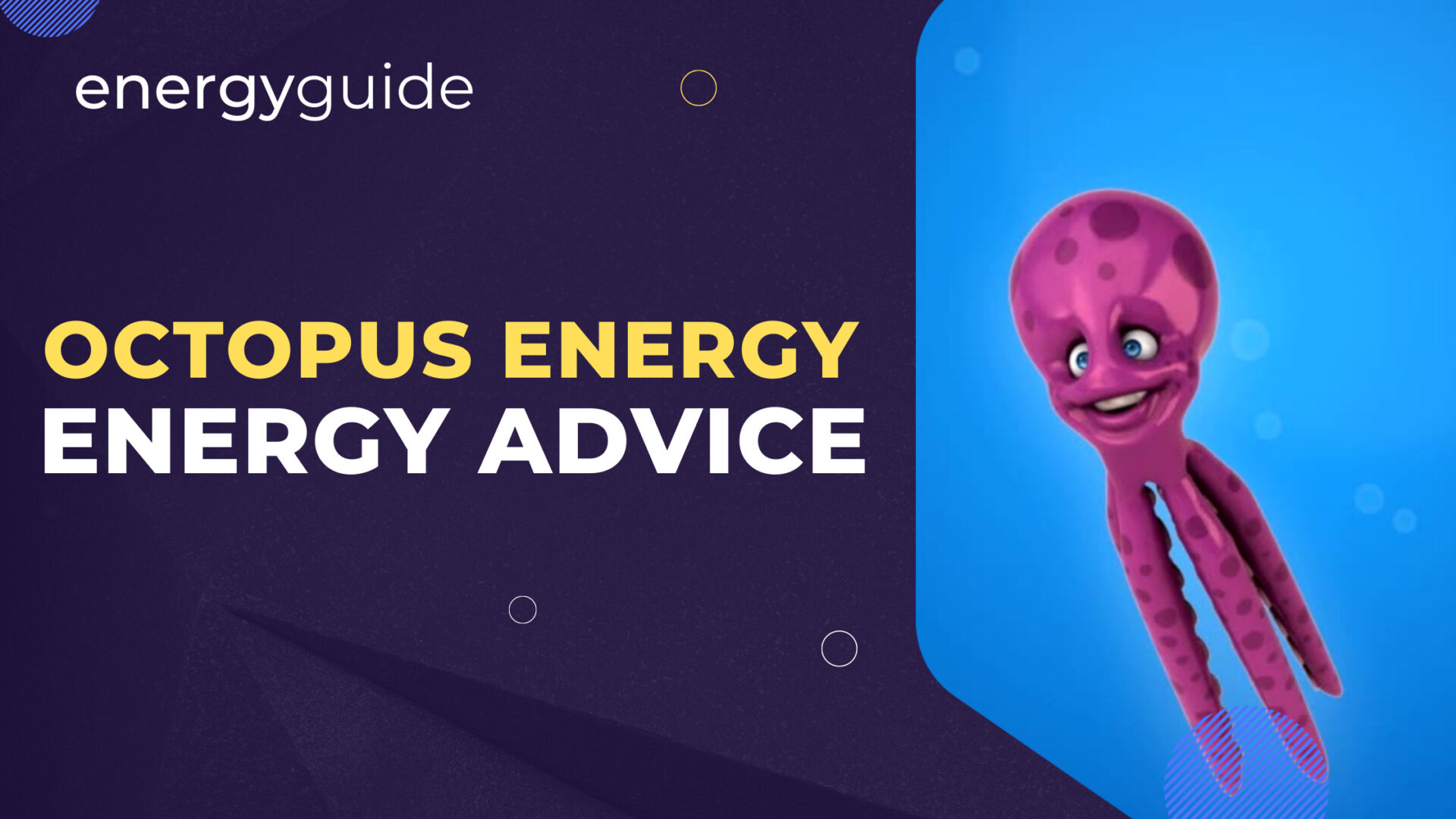 Octopus Energy Review Octopus Energy Review